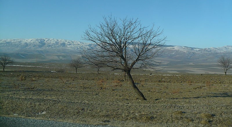 Seeking Relief: Genesis 5:28–32 – Redemptive History and Theology